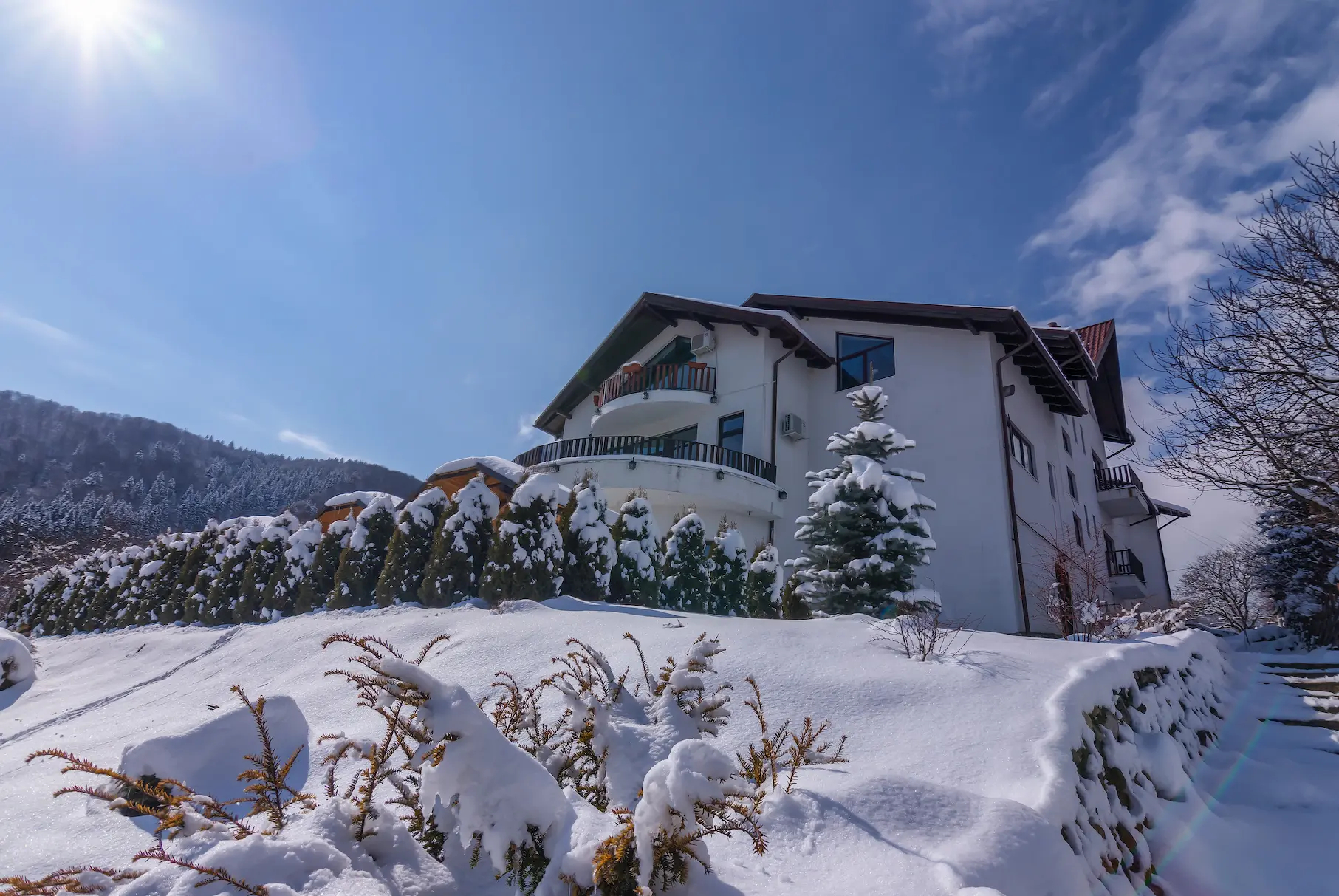 Transylvanian Inn - Vilă în Predeluț, Bran