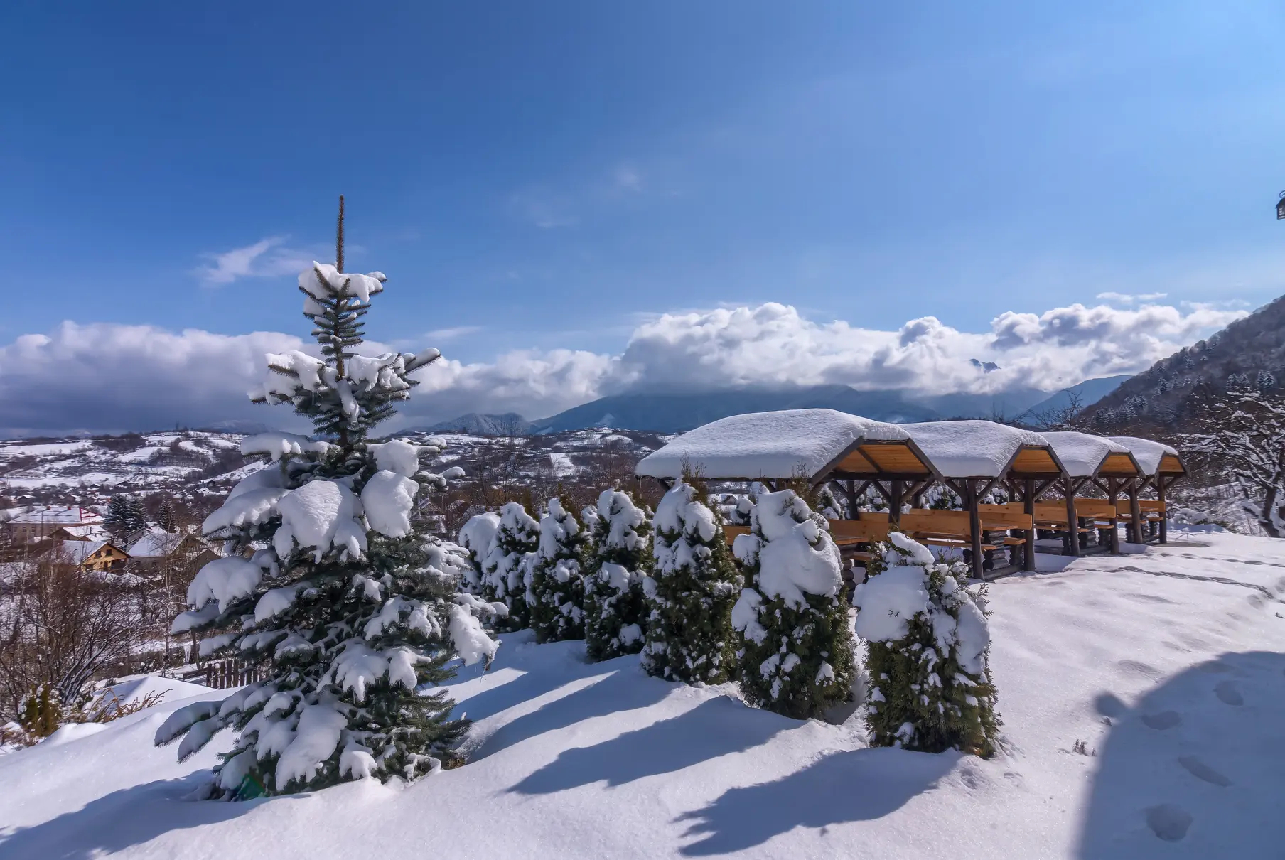 Transylvanian Inn - Vilă în Predeluț, Bran