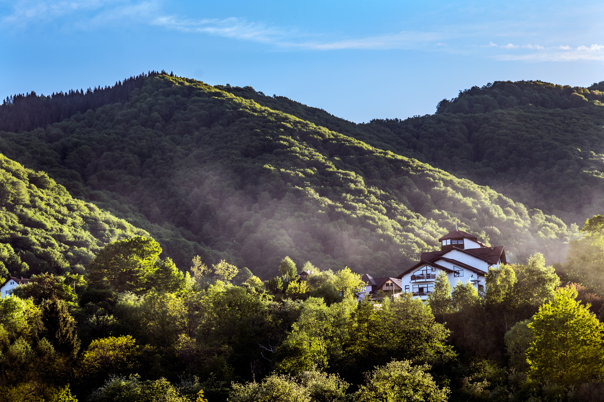 Transylvanian Inn - Vilă în Predeluț, Bran