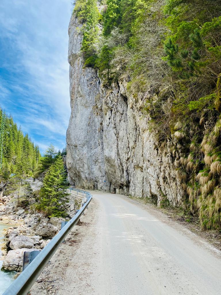 Cheile Tătarului: o rezervație naturală cu o biodiversitate bogată ...